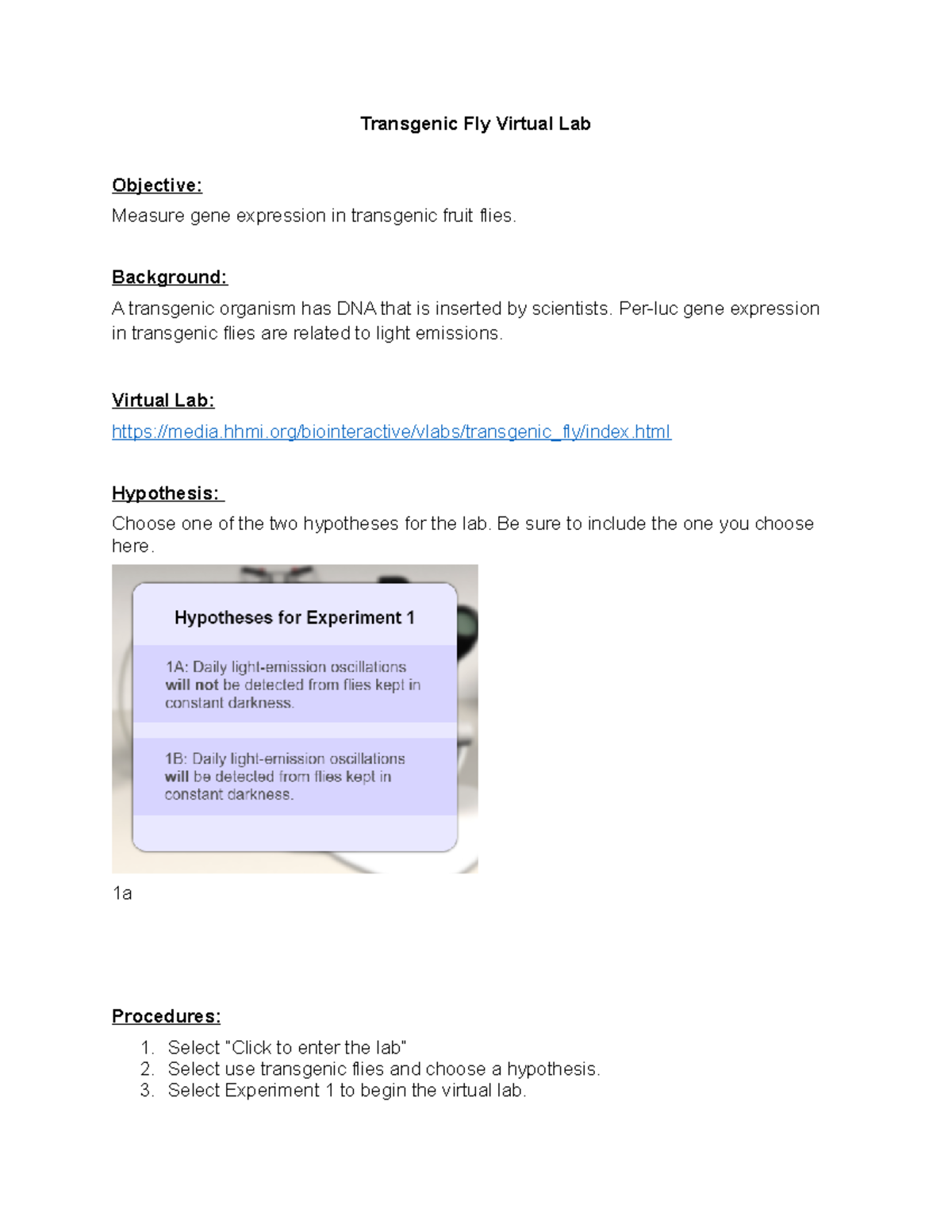 Assessment 08 - biology - Transgenic Fly Virtual Lab Objective: Measure ...