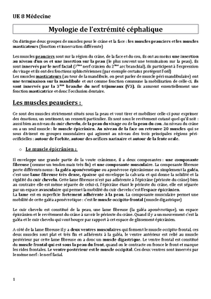 Les parois du pelvis - Le pelvis se situe au dessus du détroit ...