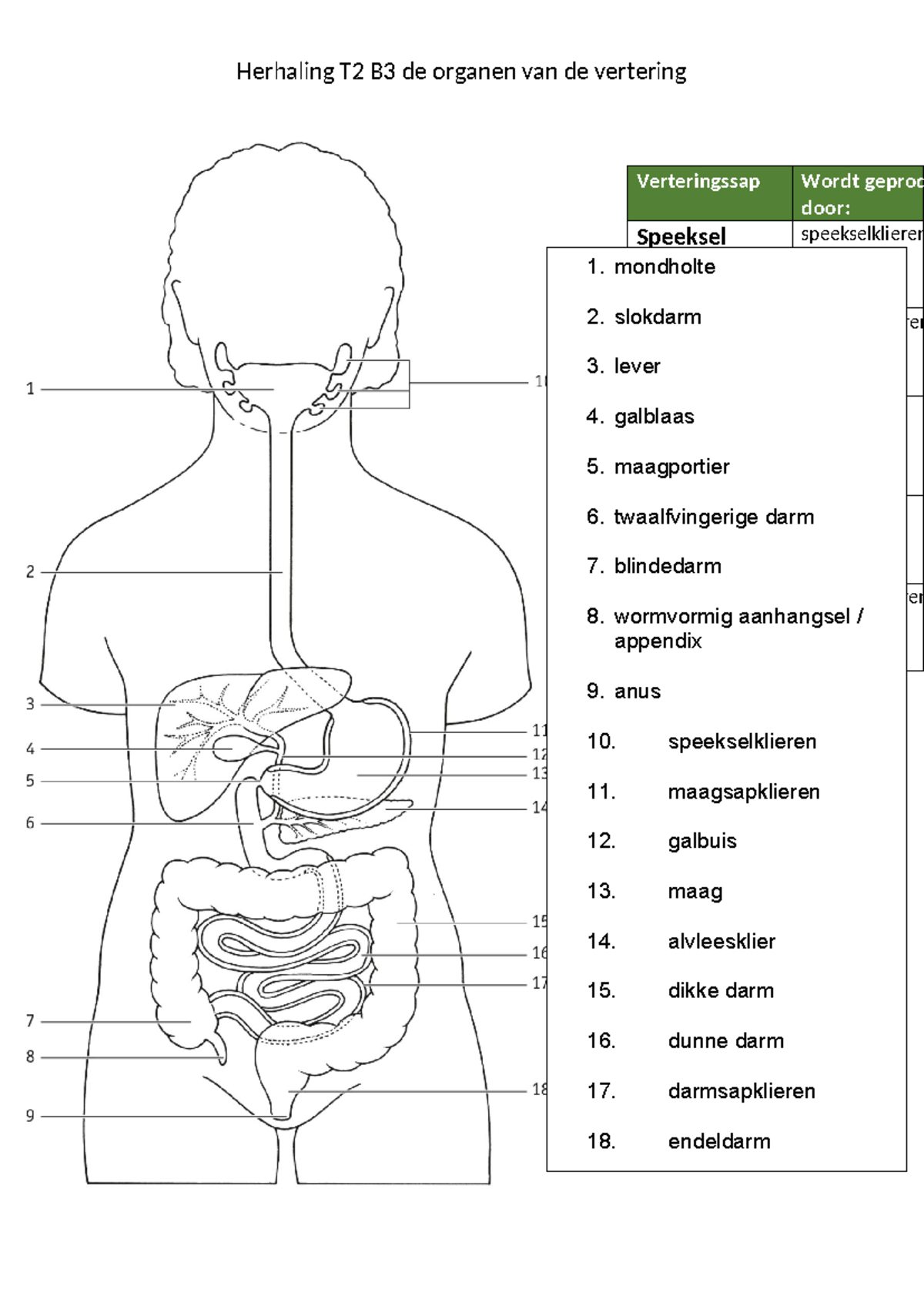Correctie opgaven T2 B3 organen voor vertering - Herhaling T2 B3 de ...