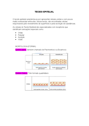 Gametogênese - Embriologia Básica - Gametogênese Resumo de embriologia ...