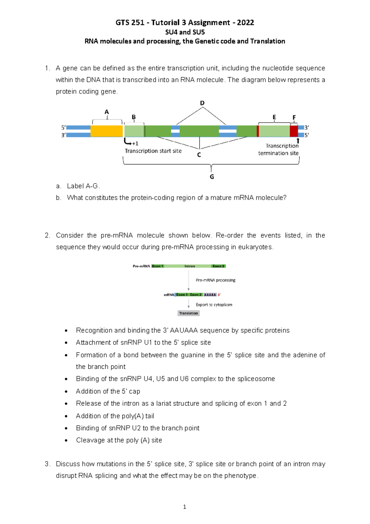 Tutorial 3 Assignment SU4 & SU5 2022 - 1 GTS 251 - Tutorial 3 Assignment - 2022 SU4 and SU 5 RNA ...