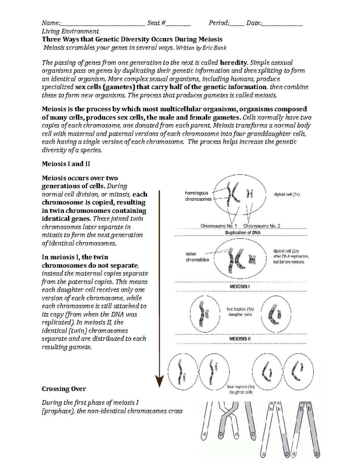Three Ways that Genetic Diversity Occurs During Meiosis- mod - - Studocu
