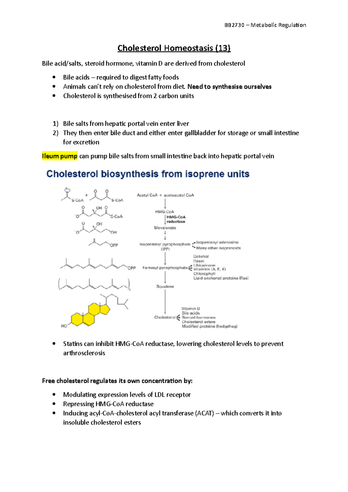 Cholesterol Homeostasis (13) - BB2730 – Metabolic Regulation ...