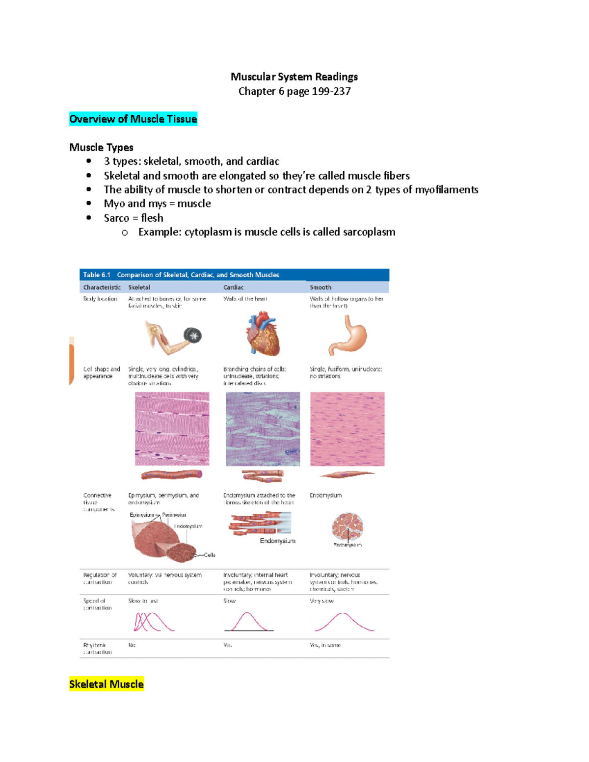 Week 5 Muscular System Readings - Muscular System Readings Chapter 6 ...