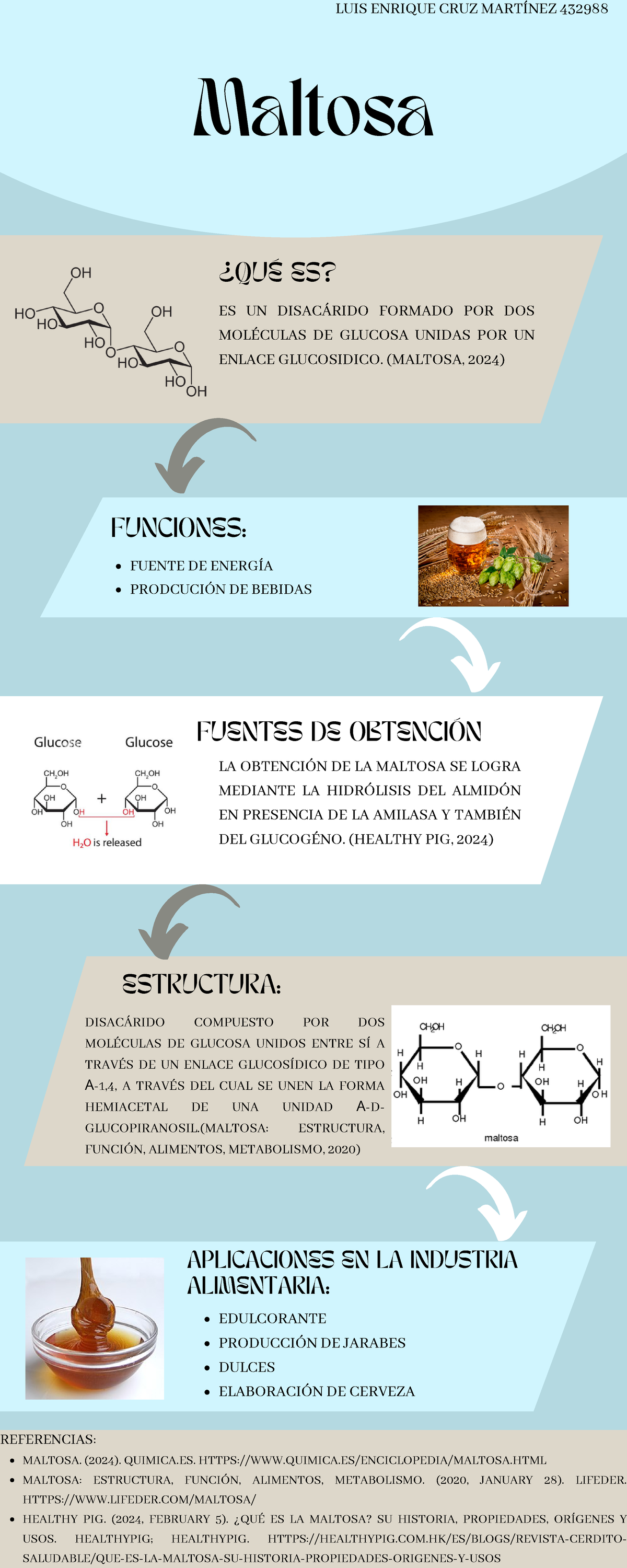 Maltosa - Maltosa FUENTE DE ENERGÍA PRODCUCIÓN DE BEBIDAS FUNCIONES: ES ...