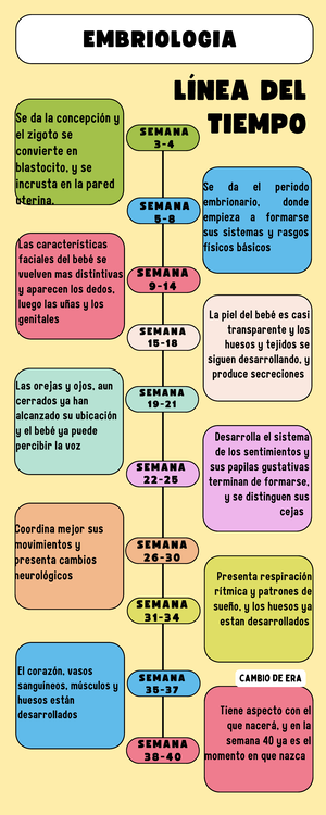 20421 - Mapa conceptual - prepa en linea sep - Studocu