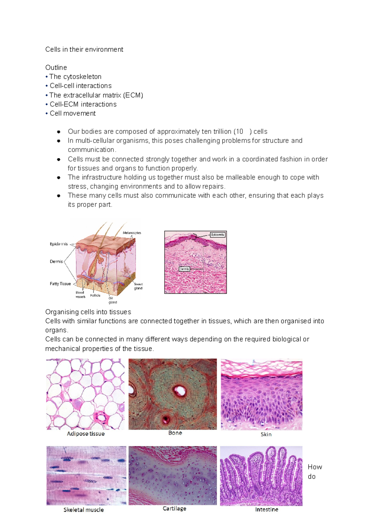 cells in their environment - Cells in their environment Outline The ...