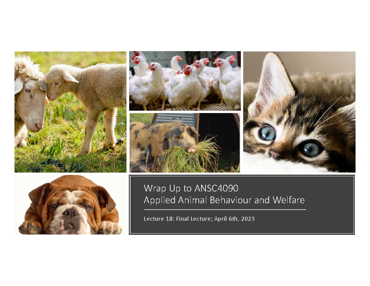 ANSC4090 - Lecture 19 Wrap Up 2023 - Wrap Up to ANSC Applied Animal ...