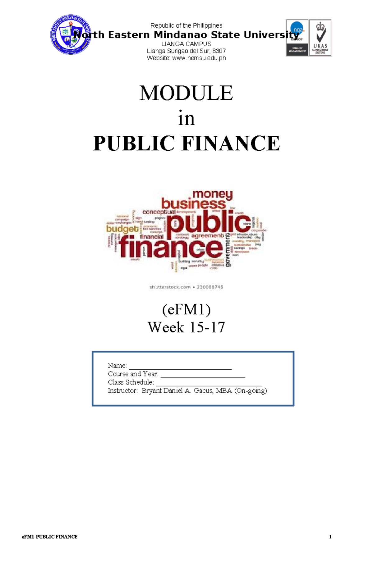 Public Finance Grp 4 - Modules - North Eastern Mindanao State University LIANGA CAMPUS Lianga ...