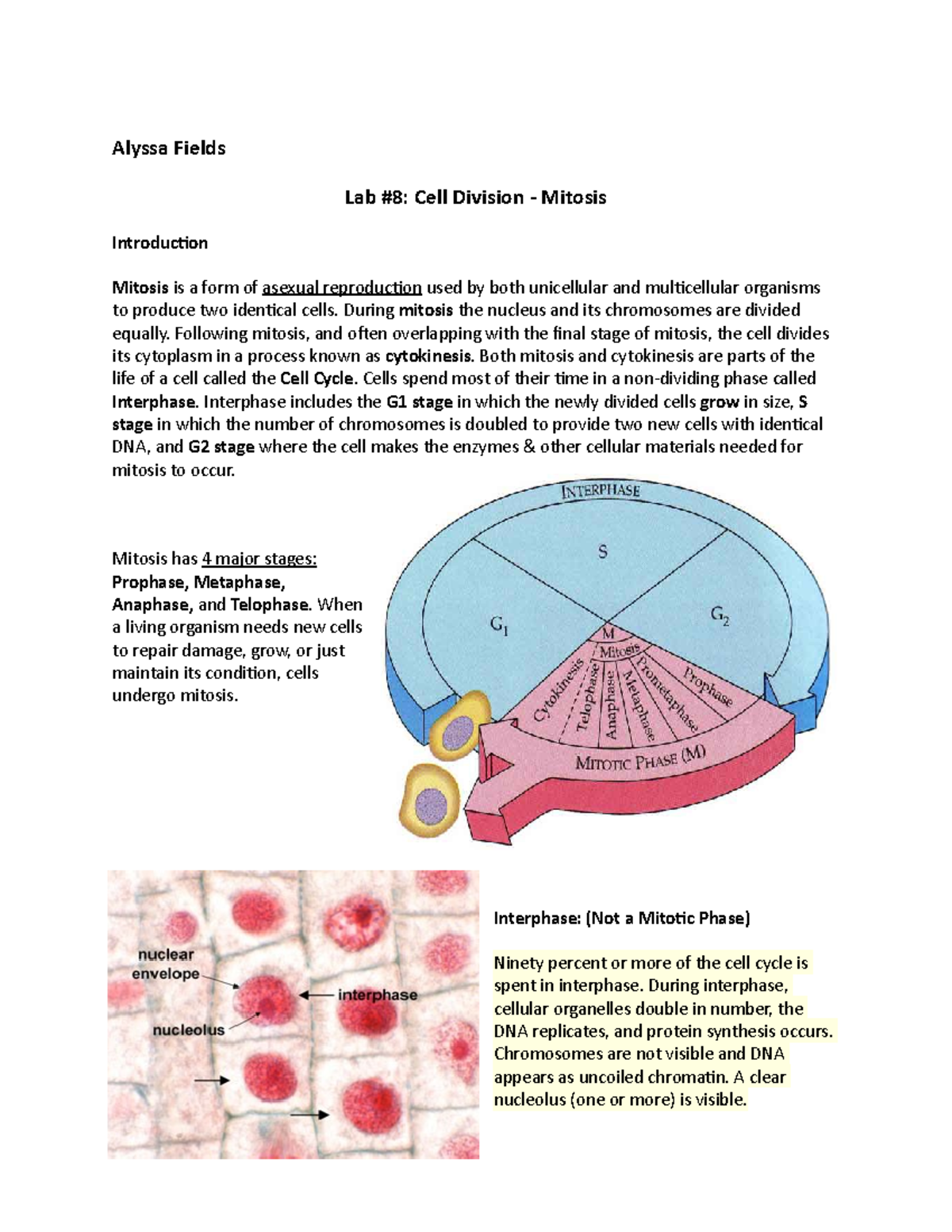 Post Lab 8 Cell Division Mitosis Lab Alyssa Fields Lab 8 Cell