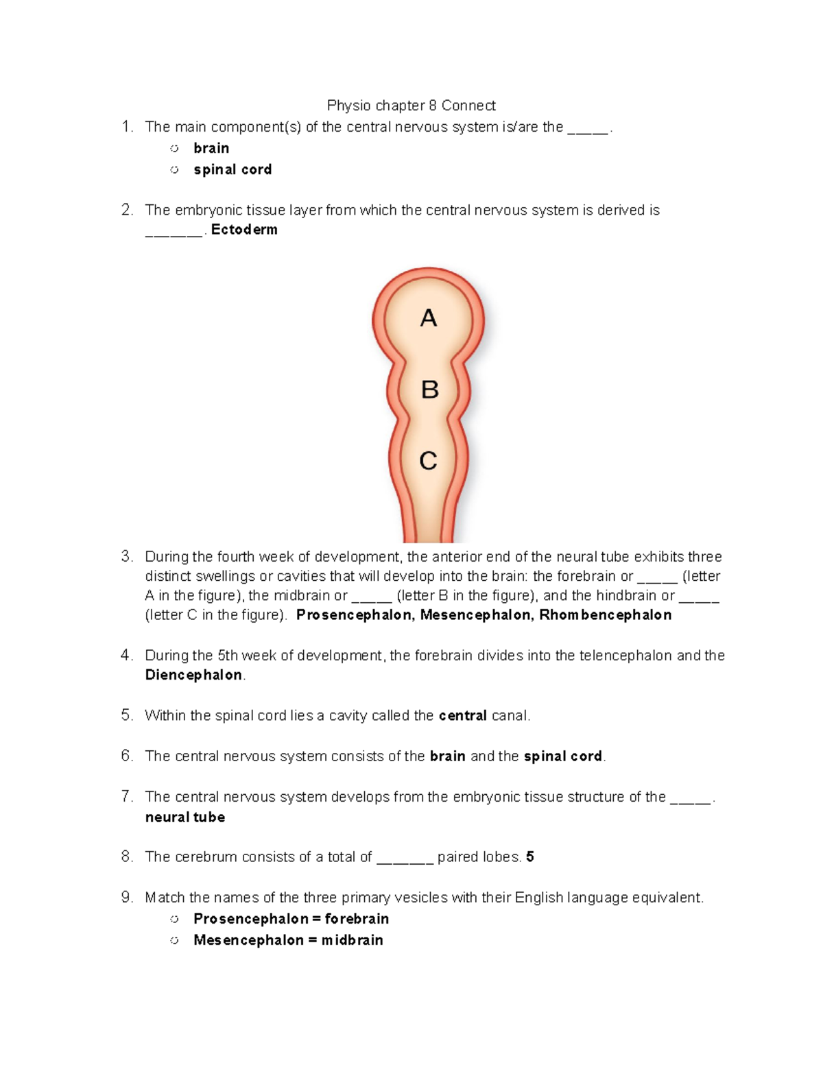 Physio chapter 8 Connect - Physio chapter 8 Connect 1. The main component(s) of the central ...