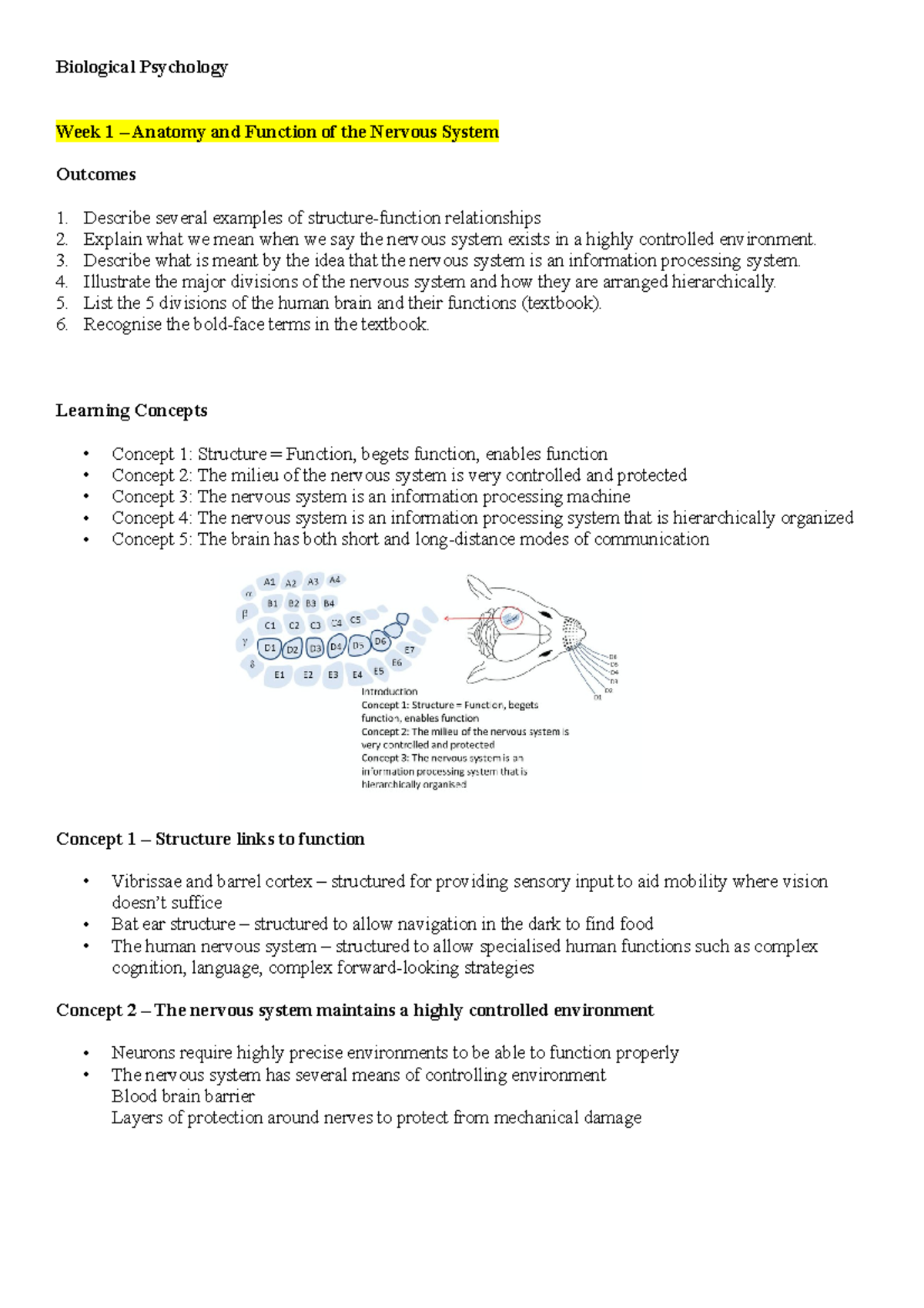 Biological Psychology Notes - Biological Psychology Week 1 – Anatomy ...