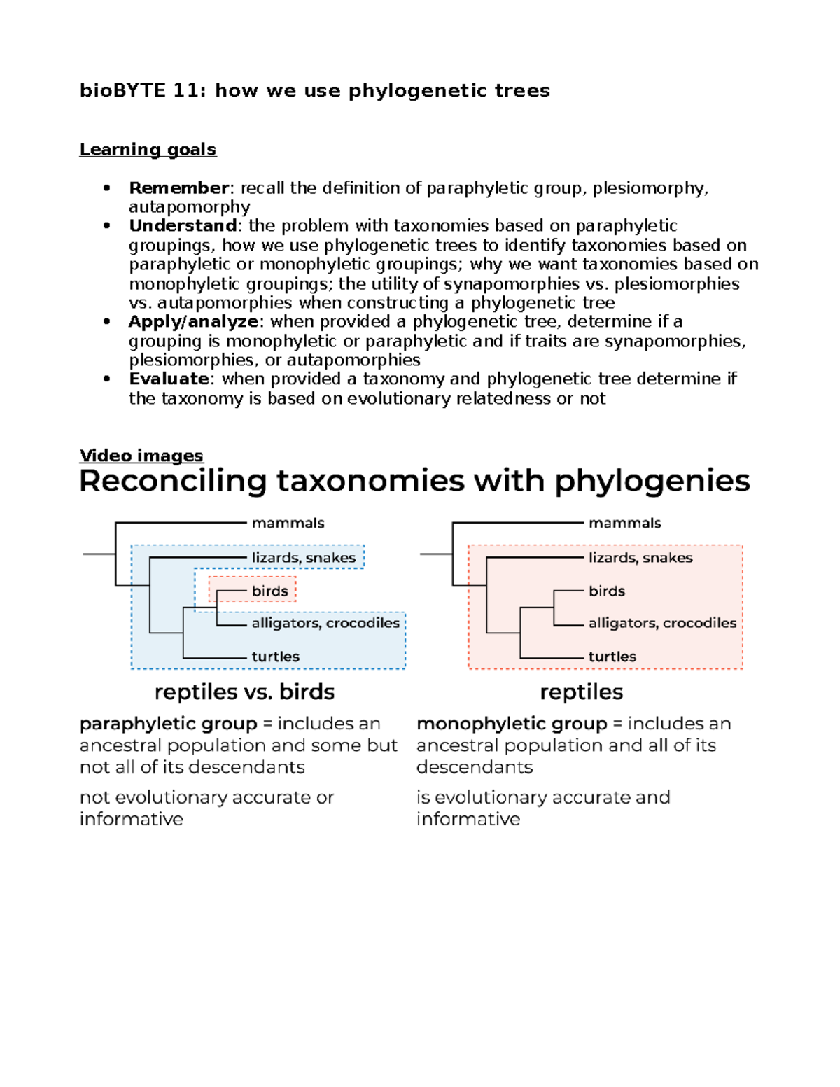 1802.Notes guide.bio BYTE 11 - bioBYTE 11: how we use phylogenetic ...