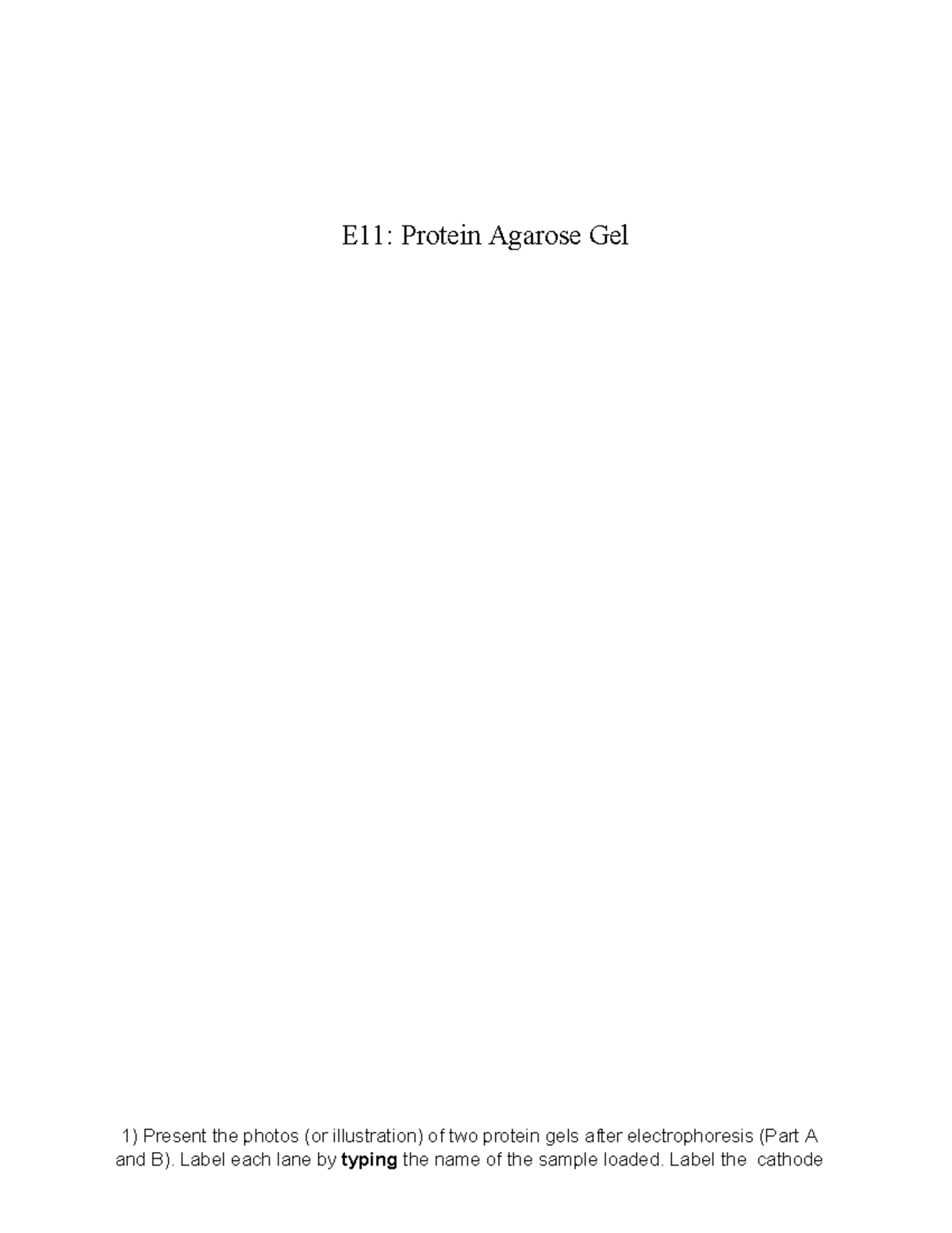 E11 - E11 report - E11: Protein Agarose Gel Present the photos (or illustration) of two protein ...