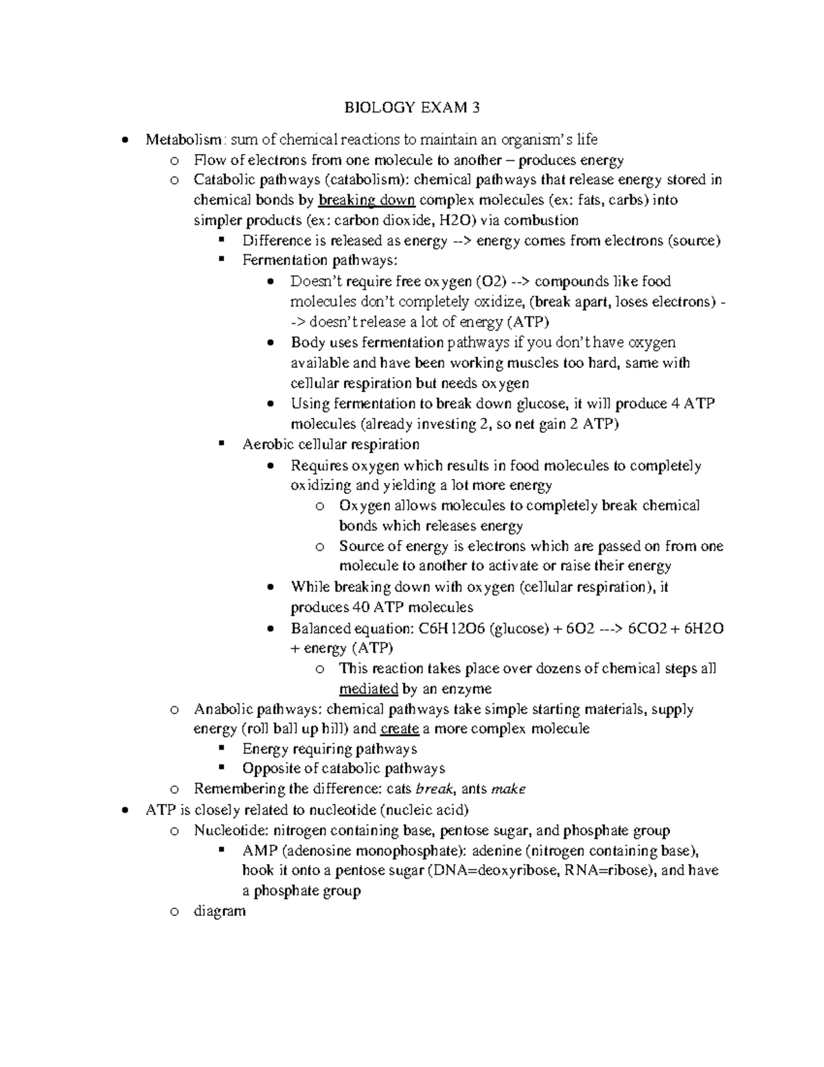 biology exam 3 notes - BIOLOGY EXAM 3 Metabolism: sum of chemical ...