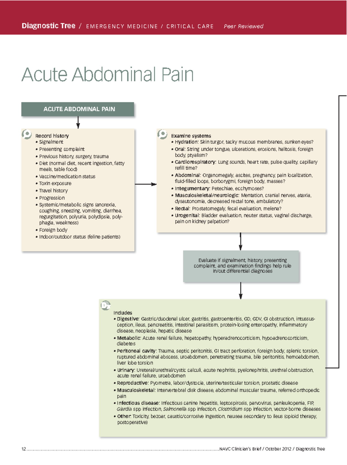 Acute abdominal pain - bbabababbbaabbabaabbaba- lecture notes- lecture ...