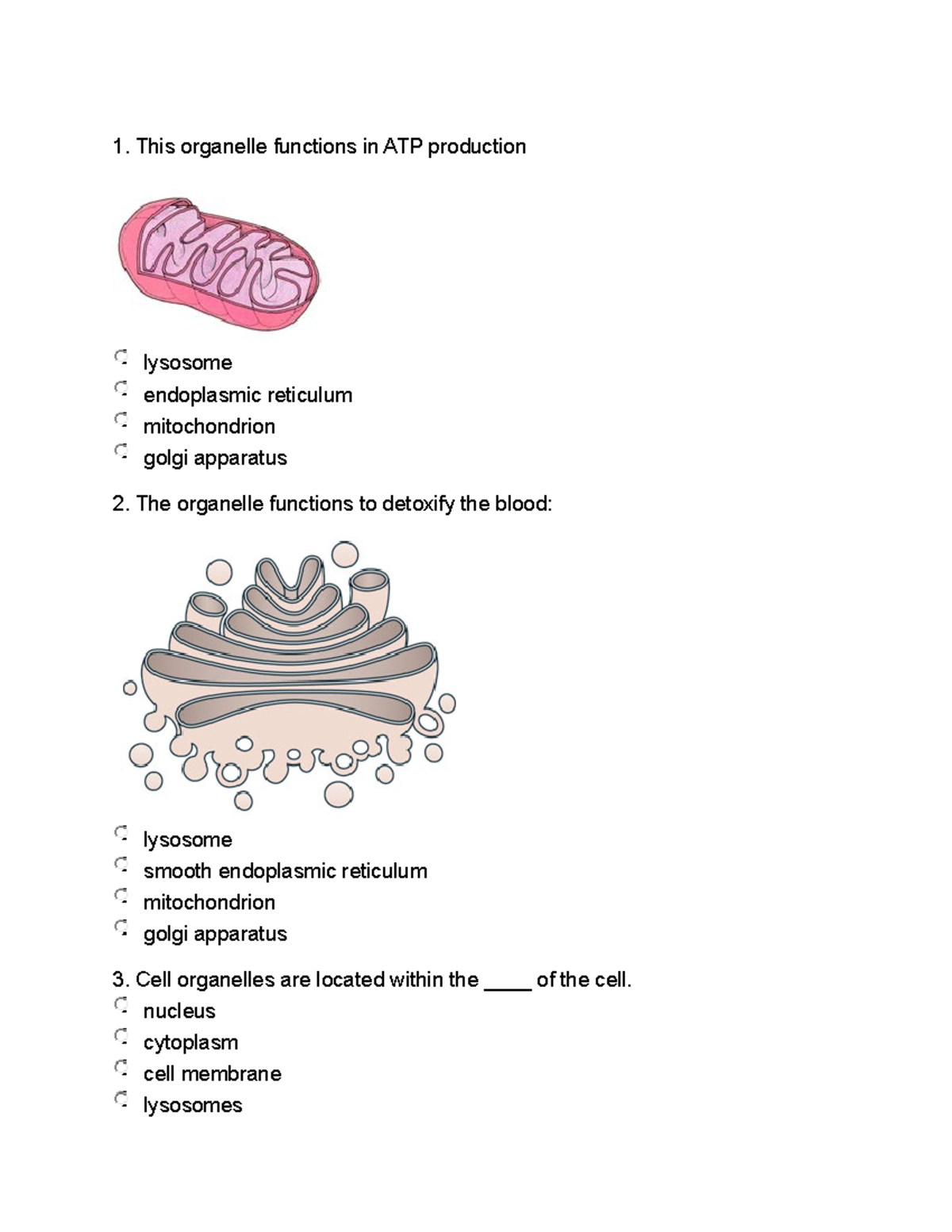 Anatomy And Physiology Lab Exam 1 Anatomical Charts P Vrogue co