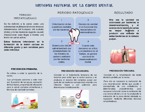 Tema 10 Microflora normal del cuerpo humano - Flora residente y ...