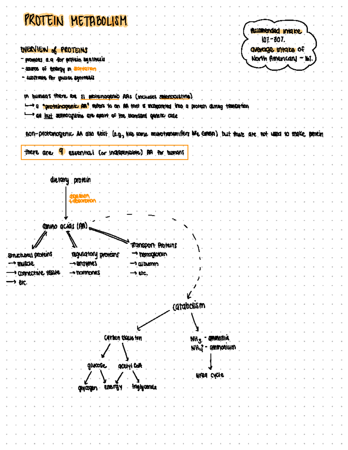 Proteins review - Summary Fundamentals of Nutrition FW - PROTEIN ...