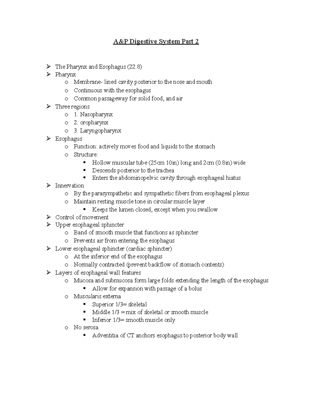 Anatomy 240B Digestive system part two - A&P Digestive System Part 2 ...