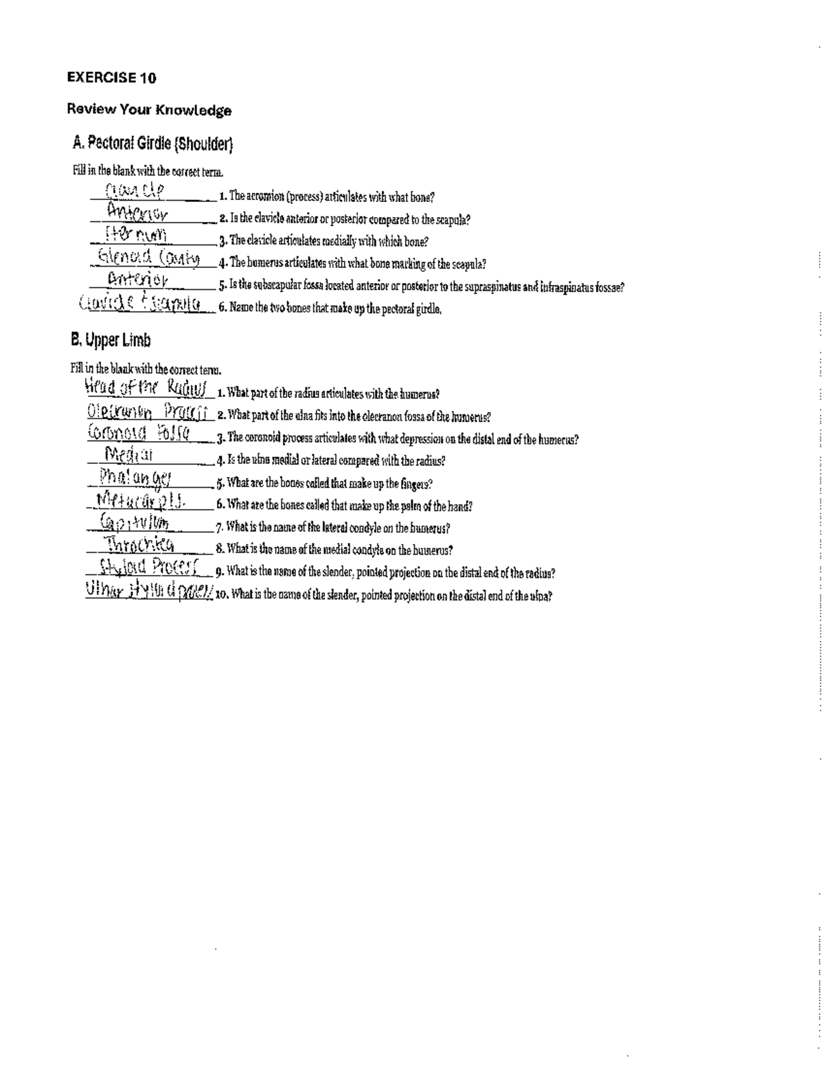 Leodan Beltran-Exercise 10, Reviewing Your Knowledge - EXERCISE 10 ...