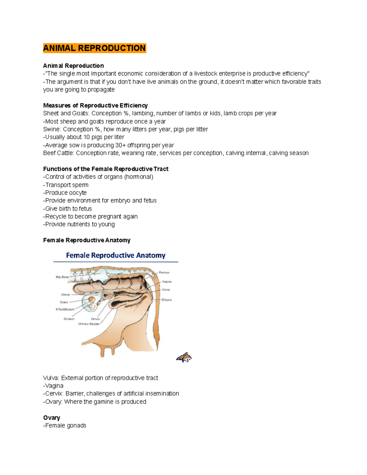 ANSC 3 - Lecture Notes - ANIMAL REPRODUCTION Animal Reproduction -=The ...