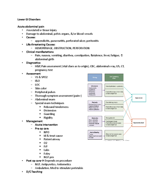 Thoracentesis ATI template - ACTIVE LEARNING TEMPLATES THERAPEUTIC ...