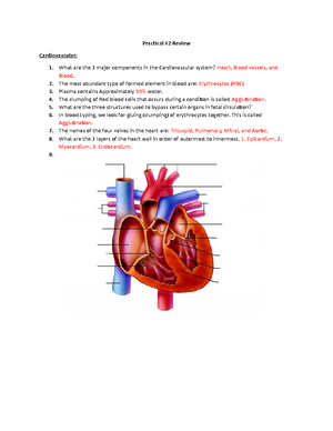 Review - BIOL 2402 Lab Exam 2 - REVIEW FOR LAB EXAM 2 INTRODUCTION TO ...