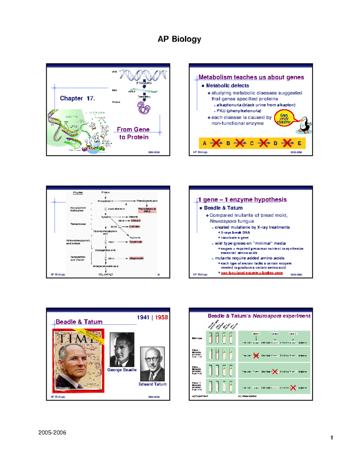 Ch17-Gene To Protein - Lecture notes 1 - 2005- AP Biology 2005- Chapter ...