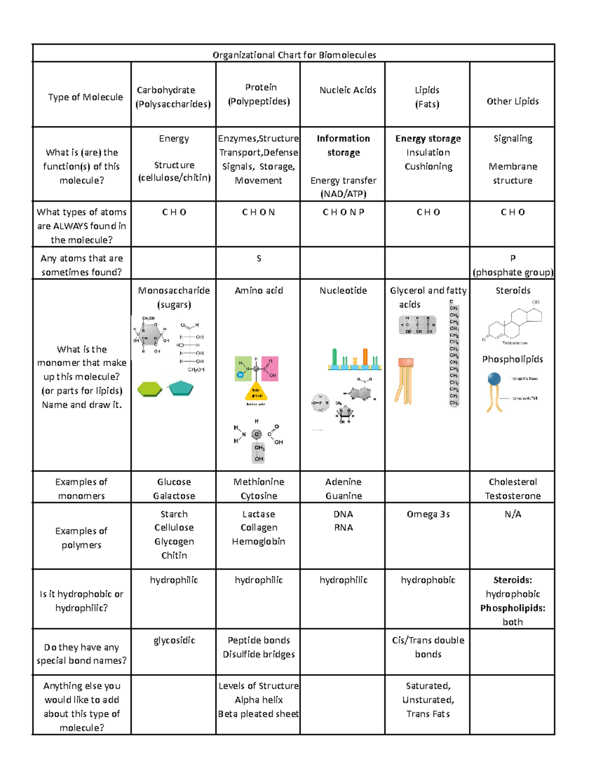 UTF-8''Organic%20molecules%20worksheet%20 Answers - Organizational ...
