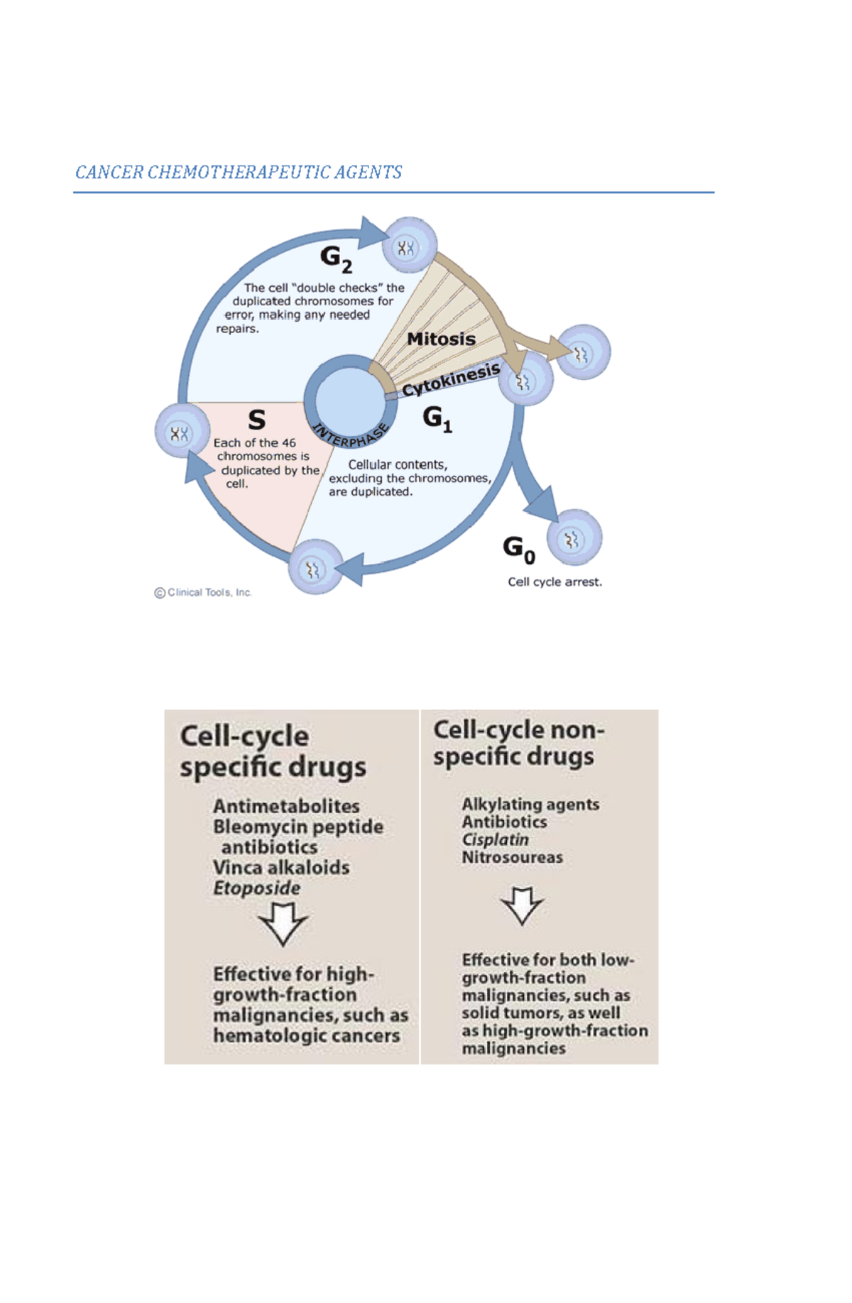 Cancer Chemo Lecture - notes - CANCER CHEMOTHERAPEUTIC AGENTS I ...