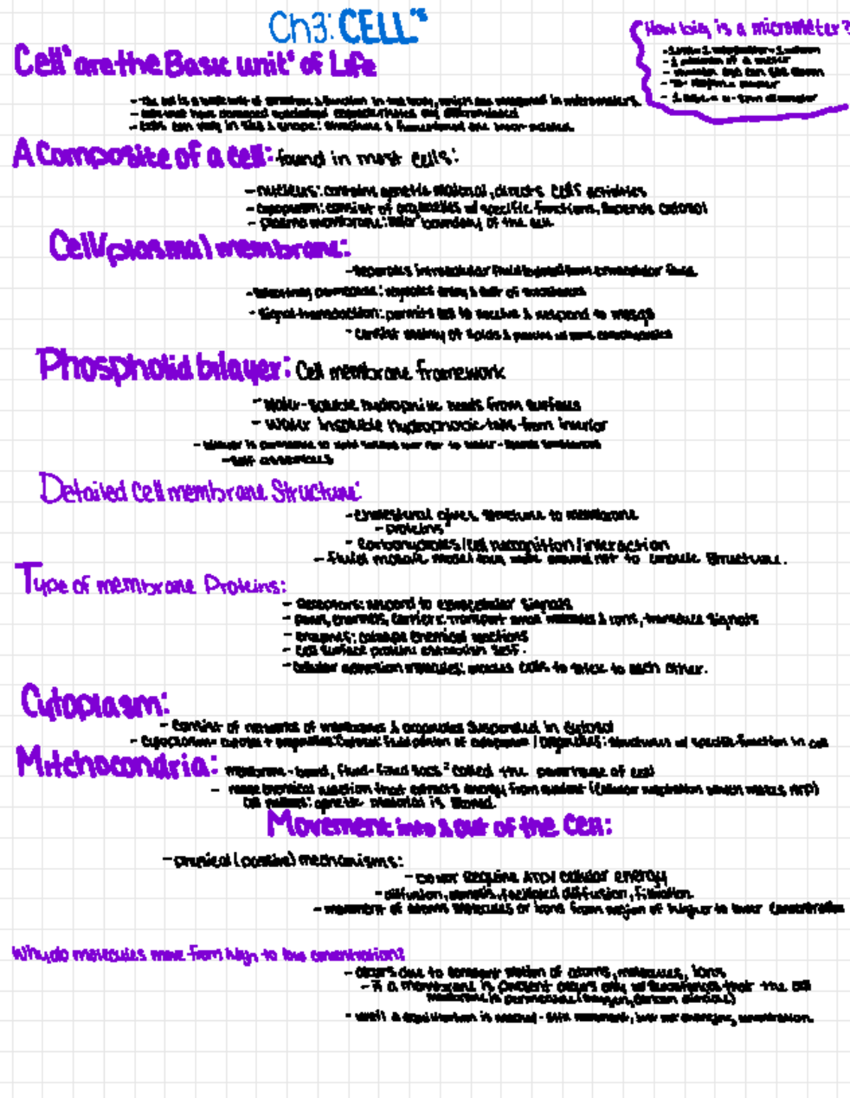 Cells chapter - Ch3:CELL" Cell' aretheBasic unitofLife The all is a ...