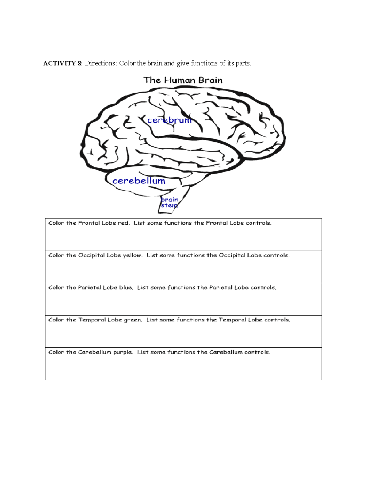 Activity 8 Dir-WPS Office - ACTIVITY 8: Directions: Color the brain and ...