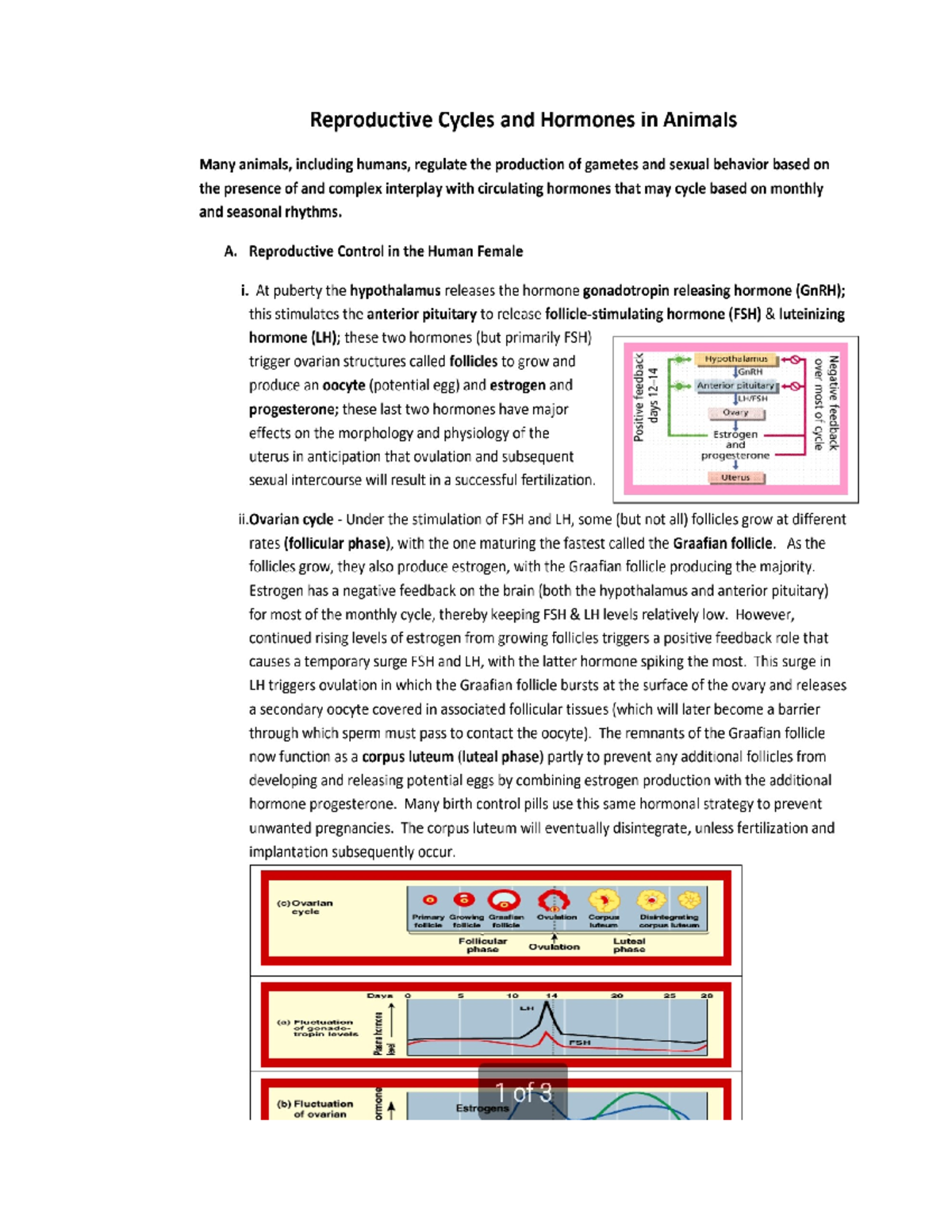 Reproductive Cycles and Hormones in Humans - A. Reproductive Control in ...