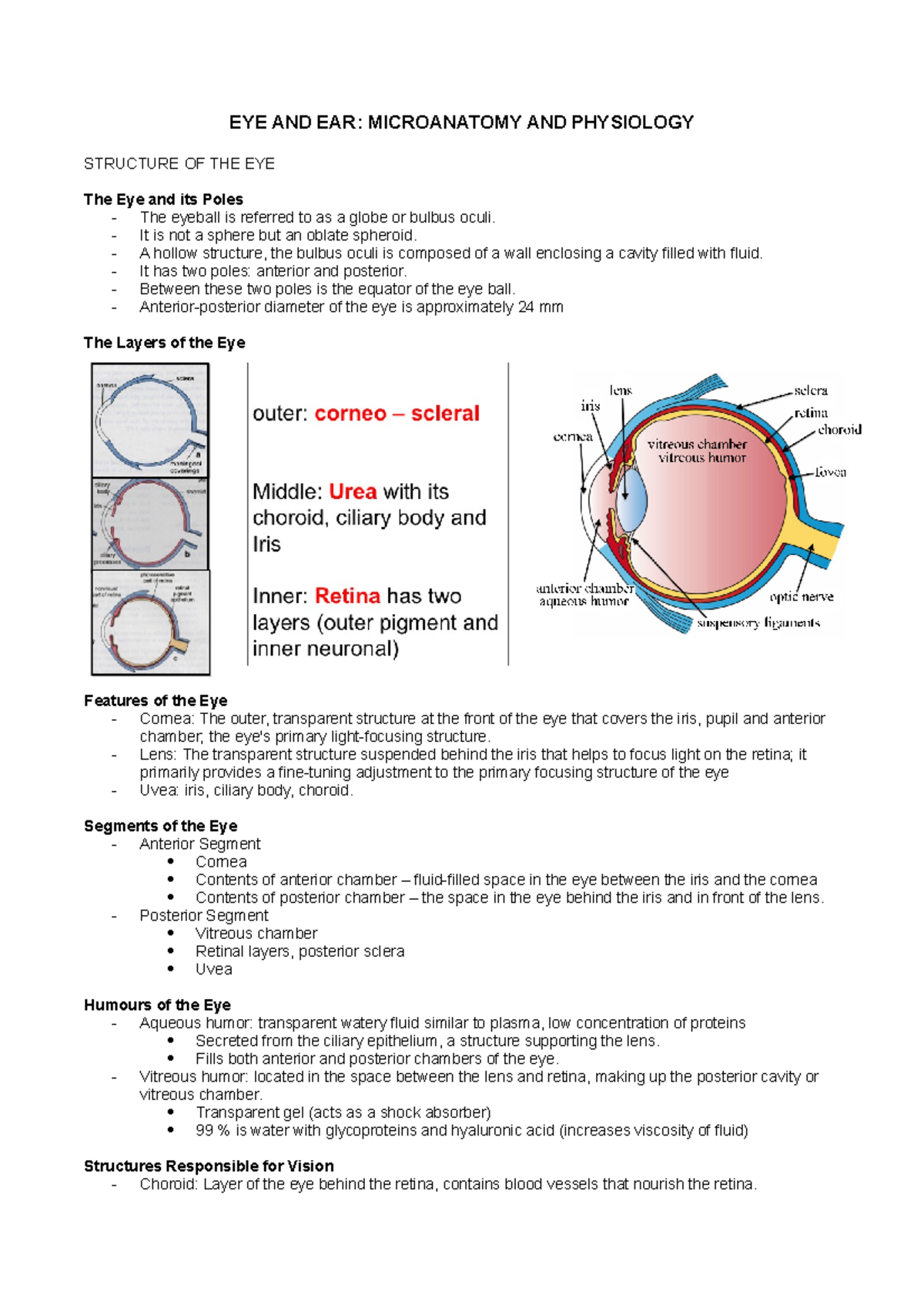 The Eye and Ear - Lecture notes 1 - EYE AND EAR: MICROANATOMY AND ...