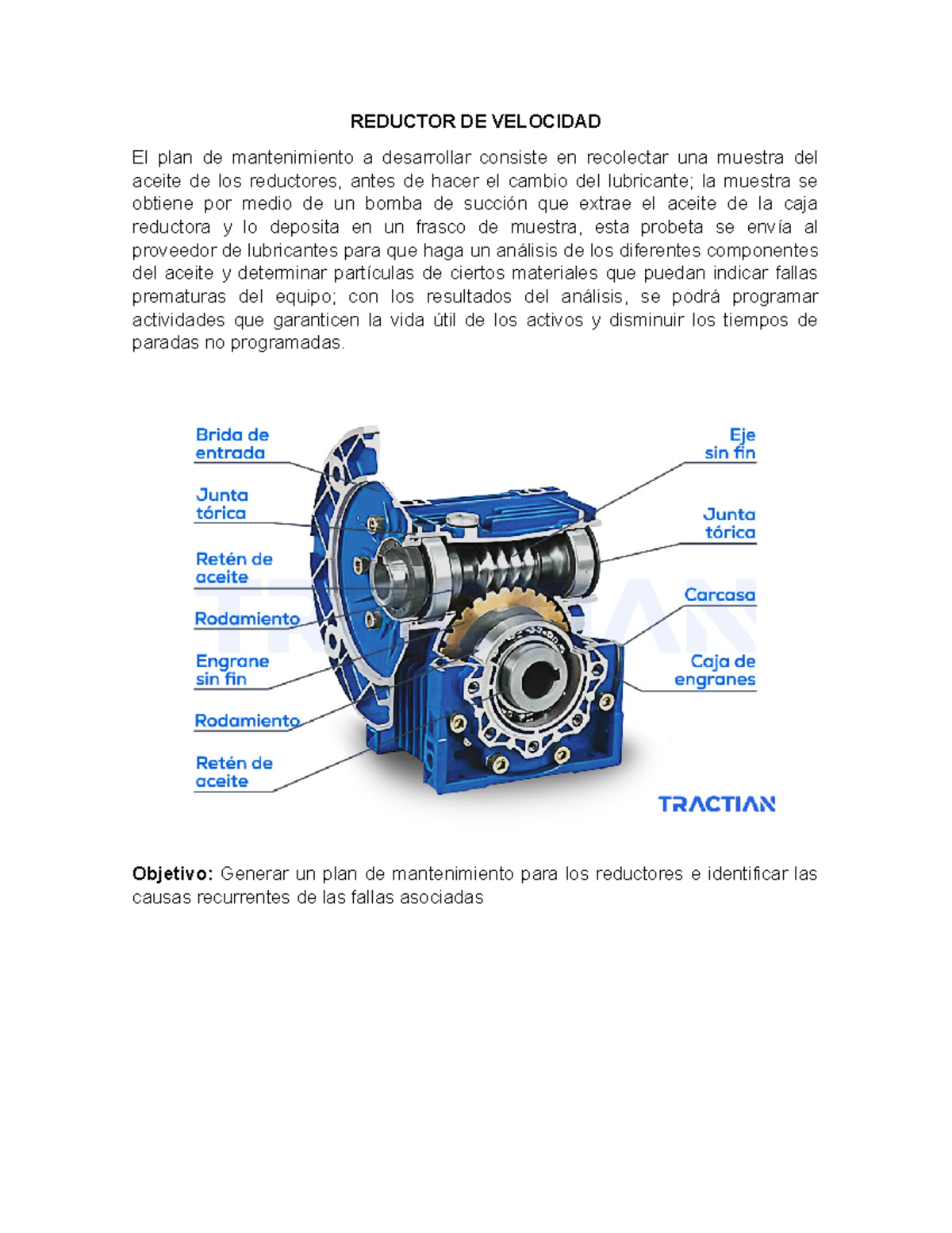 Reductor DE Velocidad - REDUCTOR DE VELOCIDAD El plan de mantenimiento ...