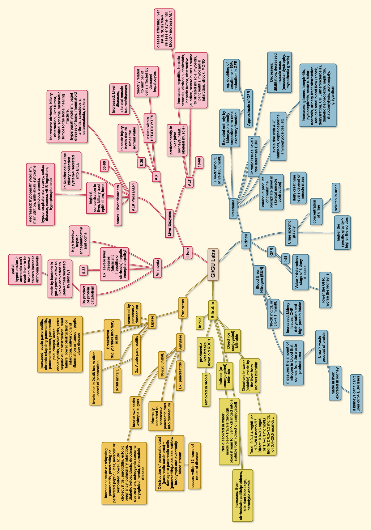 Nursing gastrointestinal (GI) Lab Values - GI/GU Labs Liver Liver ...