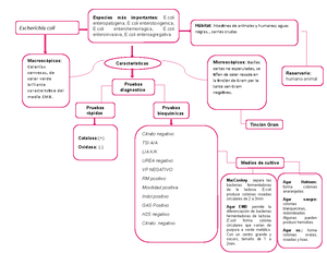 E.coli Lab Report - Erika Martinez Bio 223 Lab Report: The growth and ...