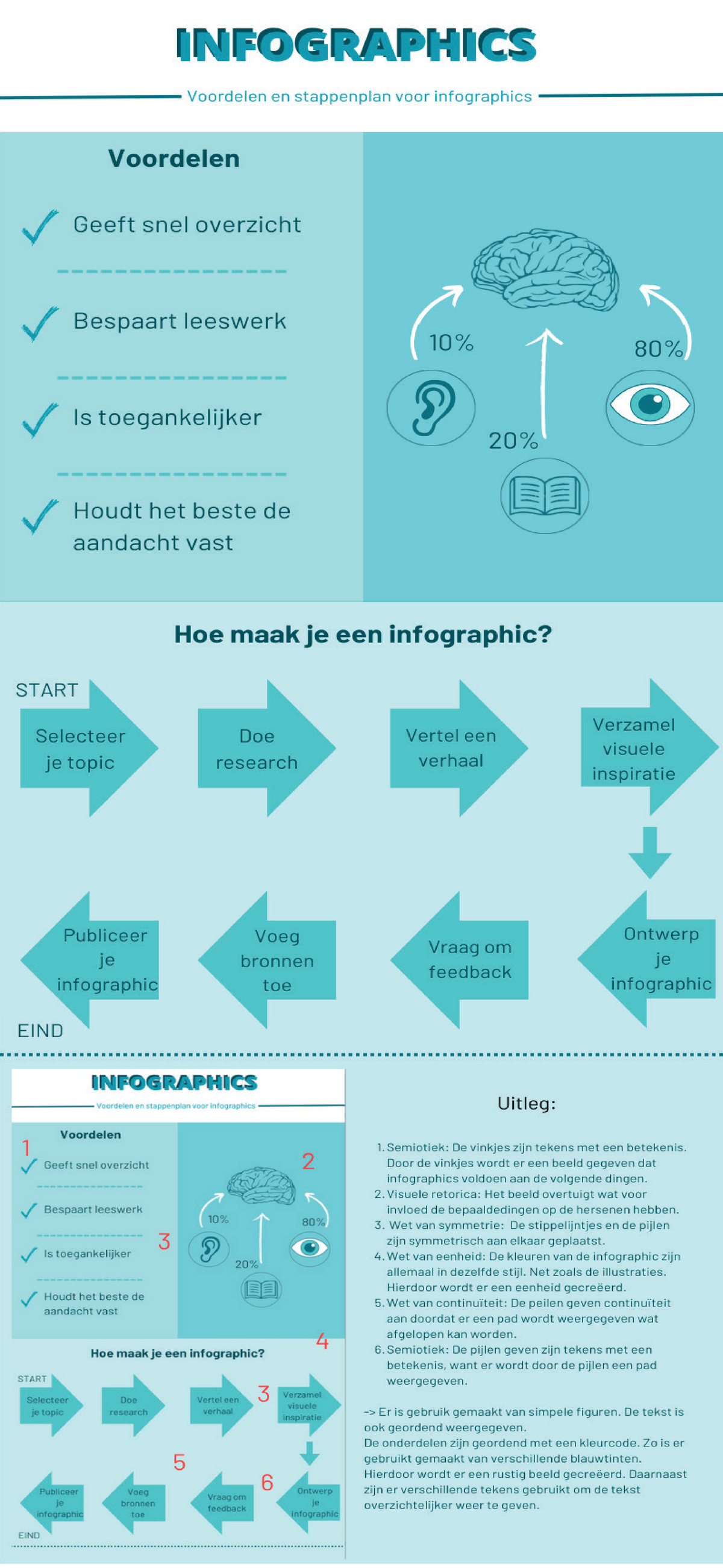 Opdracht infographic de Zeeuw - Groepsdynamica - Studeersnel