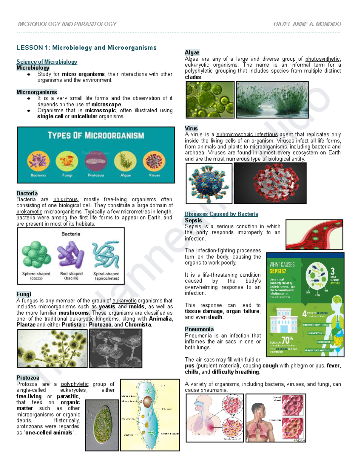 [ Original] micropara notes - hazelanneamondido - Studocu