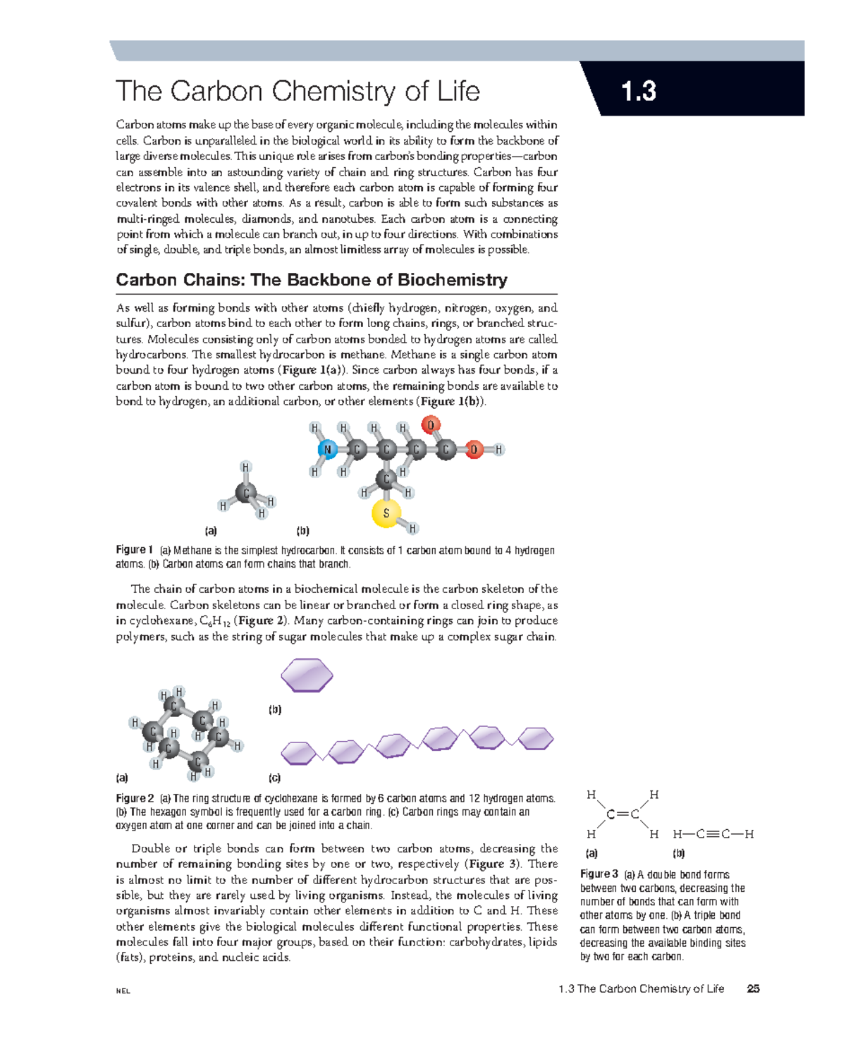 1.3 -The Carbon Chemistry of Life Text - the carbon chemistry of life ...