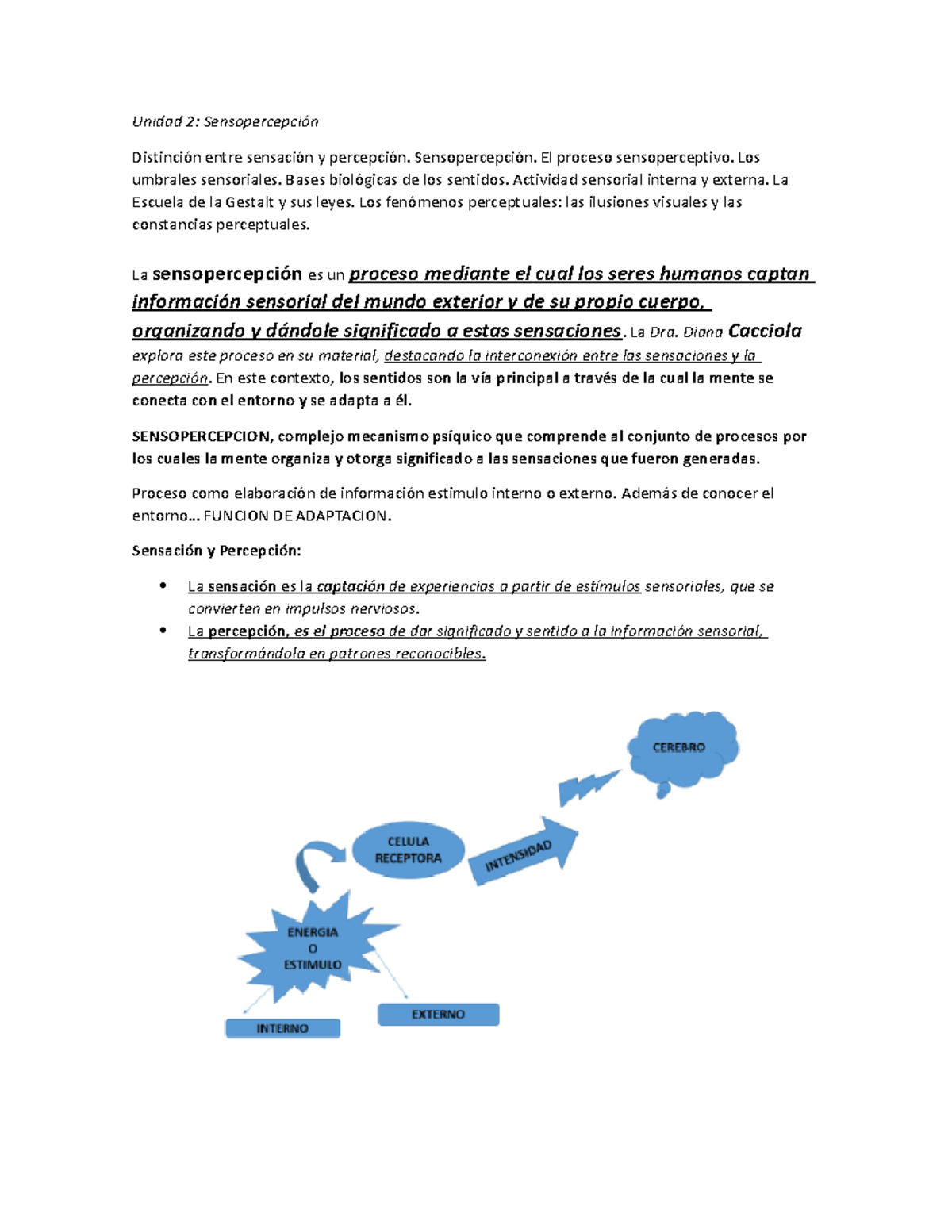 Unidad 2 Sensopercepcion - Unidad 2: Sensopercepción Distinción entre sensación y percepción ...