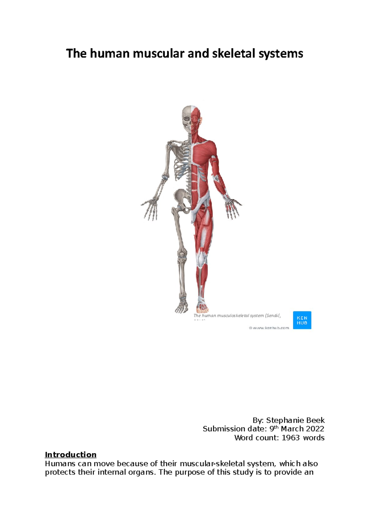 Unit 13 The Human Muscular and Skeletal Systems - The human muscular ...