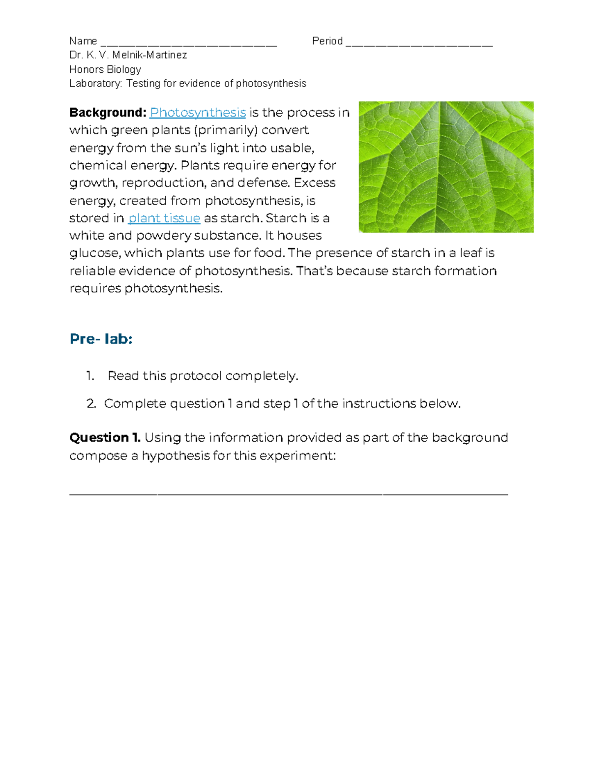 Photosynthesis lab - Dr. K. V. Melnik-Martinez Honors Biology ...