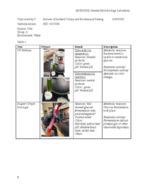 Spring 2023 General Micro Lab 10-11 Kirby Bauer Antibiotic Assay - Lab ...