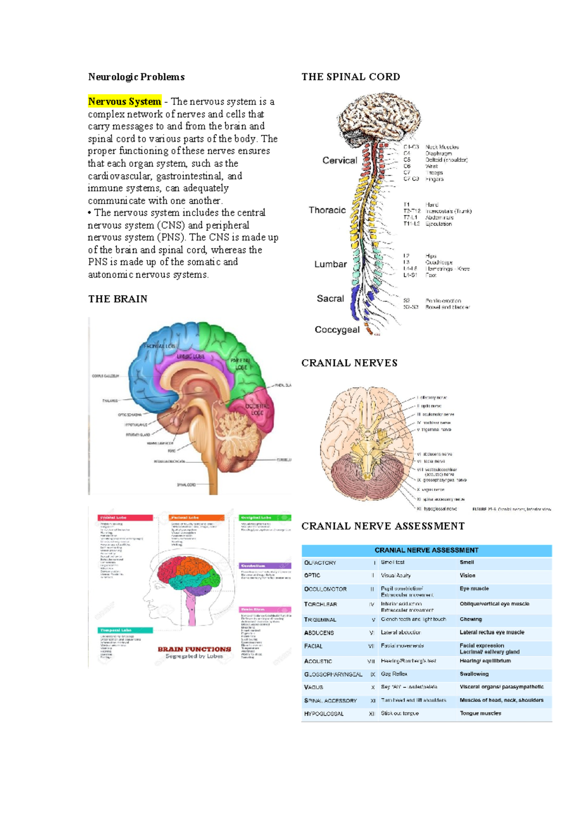 Neurologic Problems - notes - Neurologic Problems Nervous System - The ...