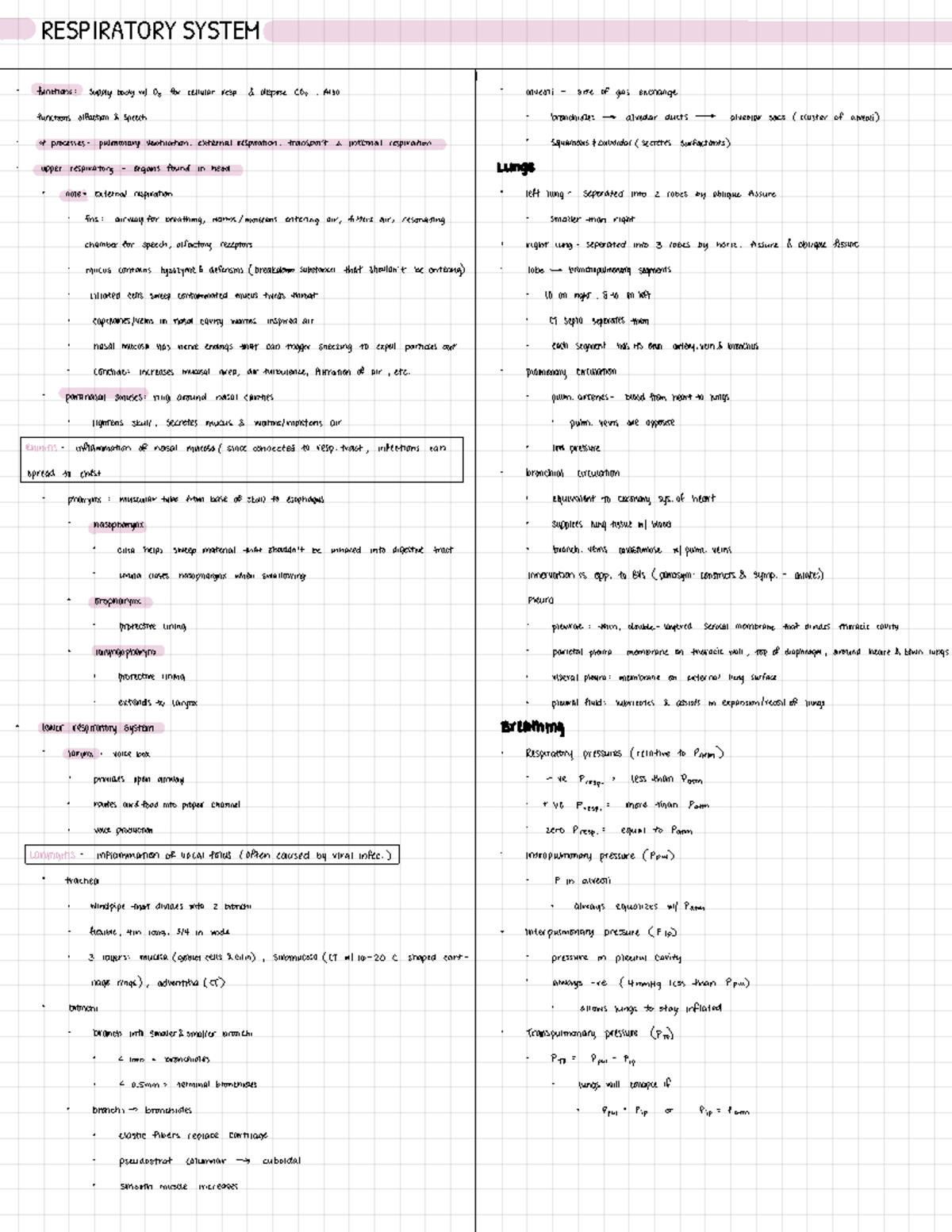 Study Notes - Anatomy Resp. System - RESPIRATORY SYSTEM I · functions ...