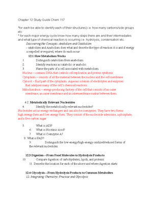 Chapter 11 Study Guide Chem 117 - Chapter 11 Study Guide Chem 117 ...