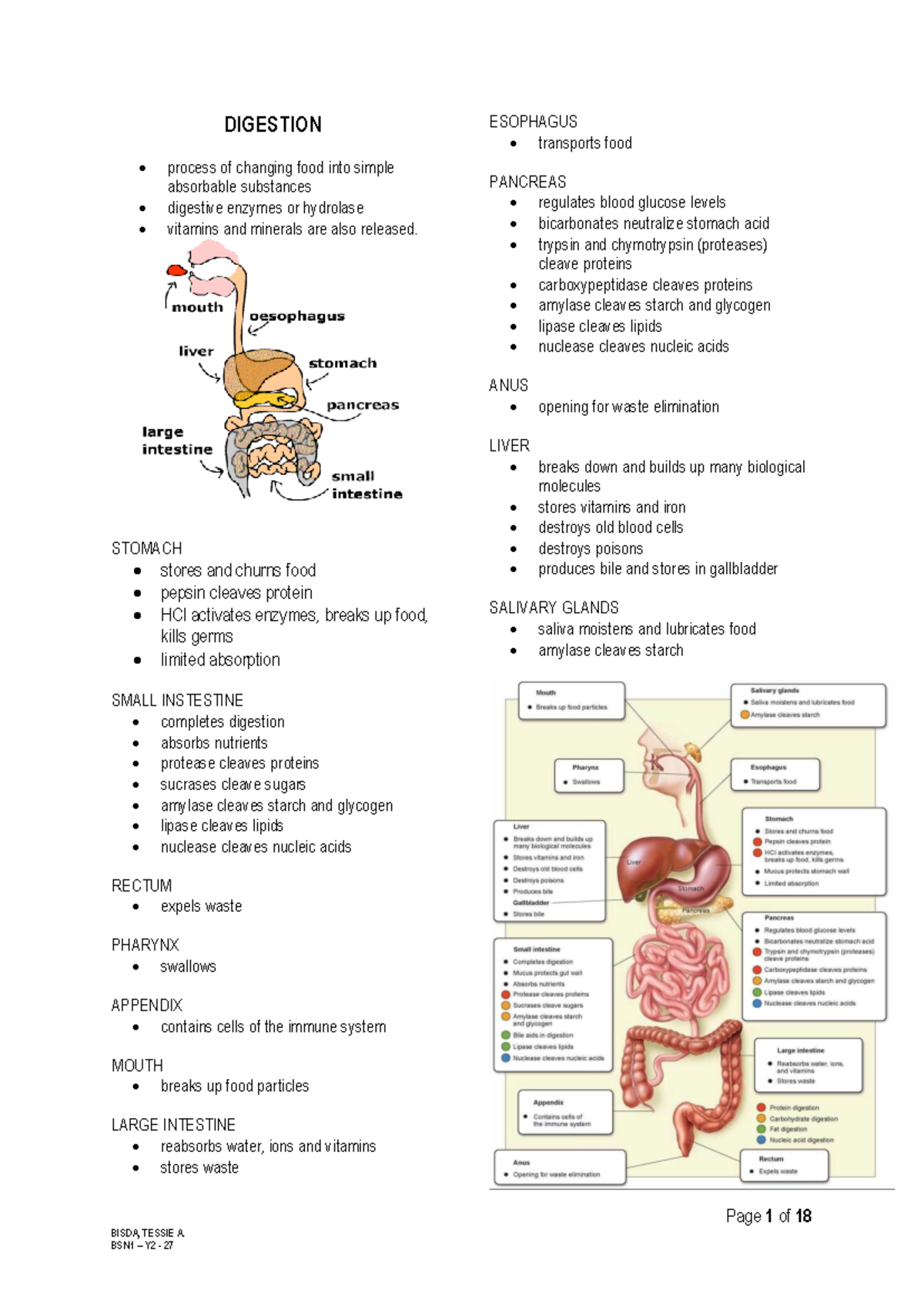 BIOCHEM FINALS REVIEWER - Page 1 of 18 BISDA, TESSIE A. DIGESTION ...