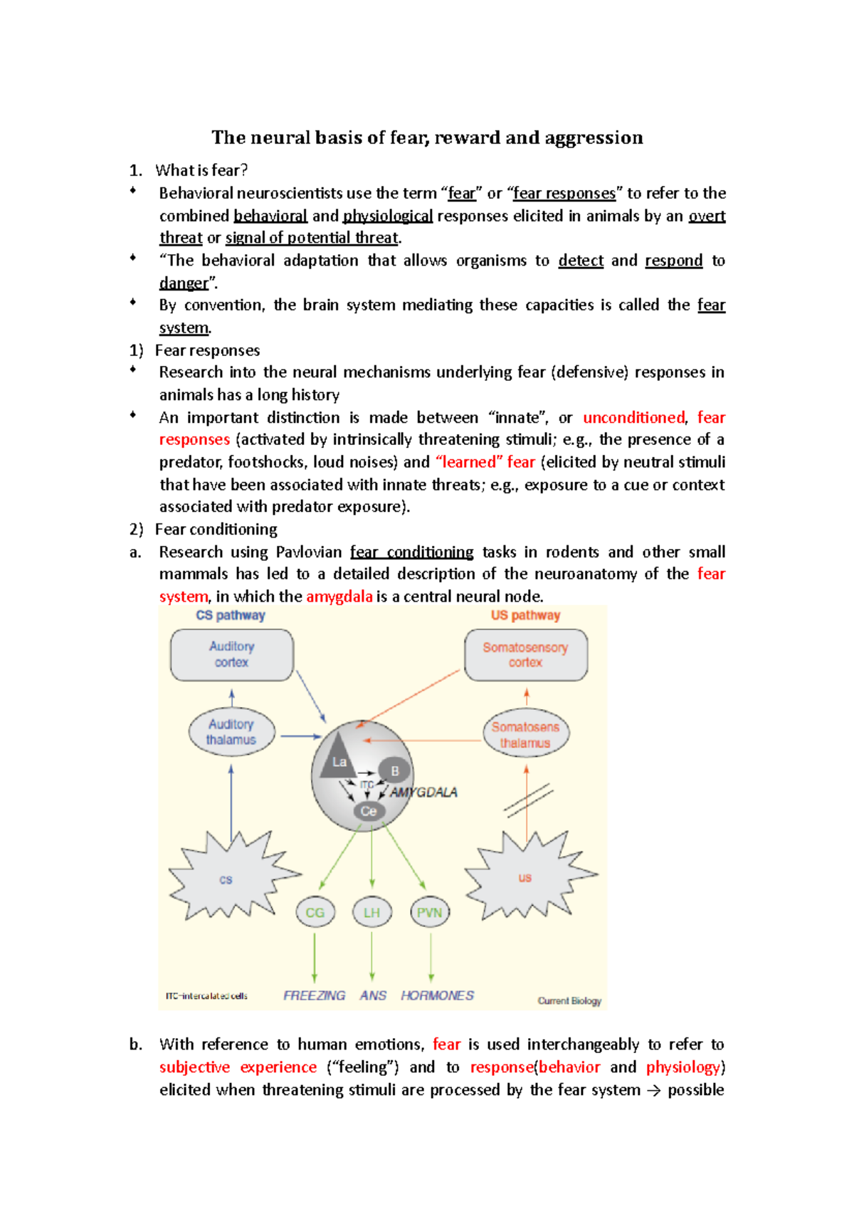 4-6 - summaries for the slides and book - The neural basis of fear ...